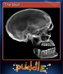 Puddle - The Skull | Steam Trading Cards Wiki | Fandom