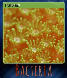 Bacteria - Pullorum | Steam Trading Cards Wiki | Fandom