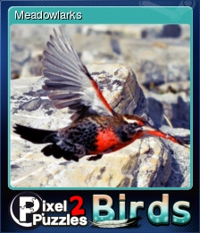Pixel Puzzles 2: Birds - Meadowlarks | Steam Trading Cards Wiki | Fandom
