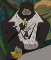 Black Back | Steckbrief Wiki | Fandom