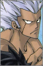 Elfman | Steckbriefanime Wiki | Fandom
