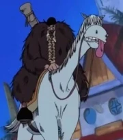 Doc Q | Steckbriefanime Wiki | Fandom