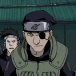 Iwana Akame | Steckbriefanime Wiki | Fandom