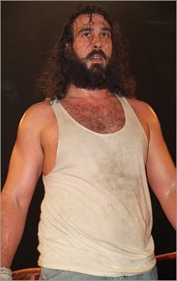Luke Harper | Steckbriefanime Wiki | Fandom