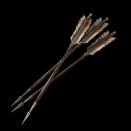 Novice Arrows | Steel & Shadows Wiki | Fandom