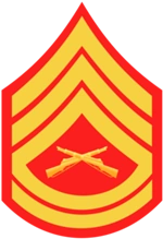 Gunnery Sergeant | Steel Wiki | Fandom