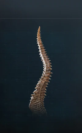 Tentacle | Stellar Blade Wiki | Fandom