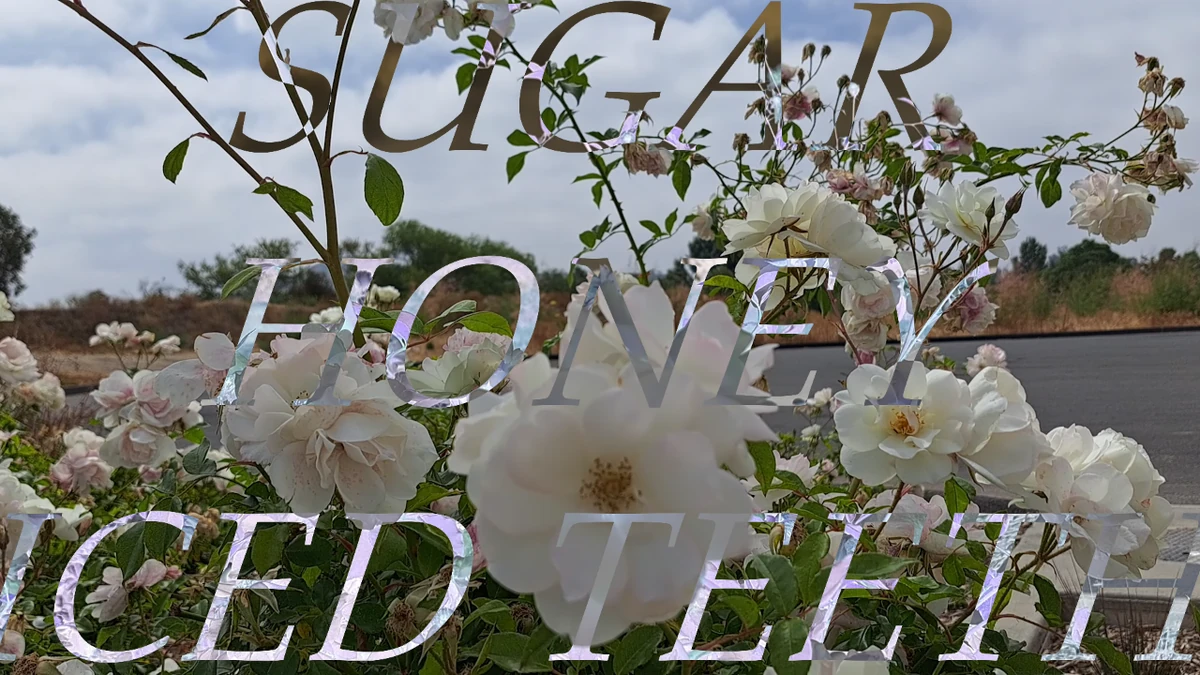 SUGAR HONEY ICED TEETH | Stephen M. Green Wiki | Fandom