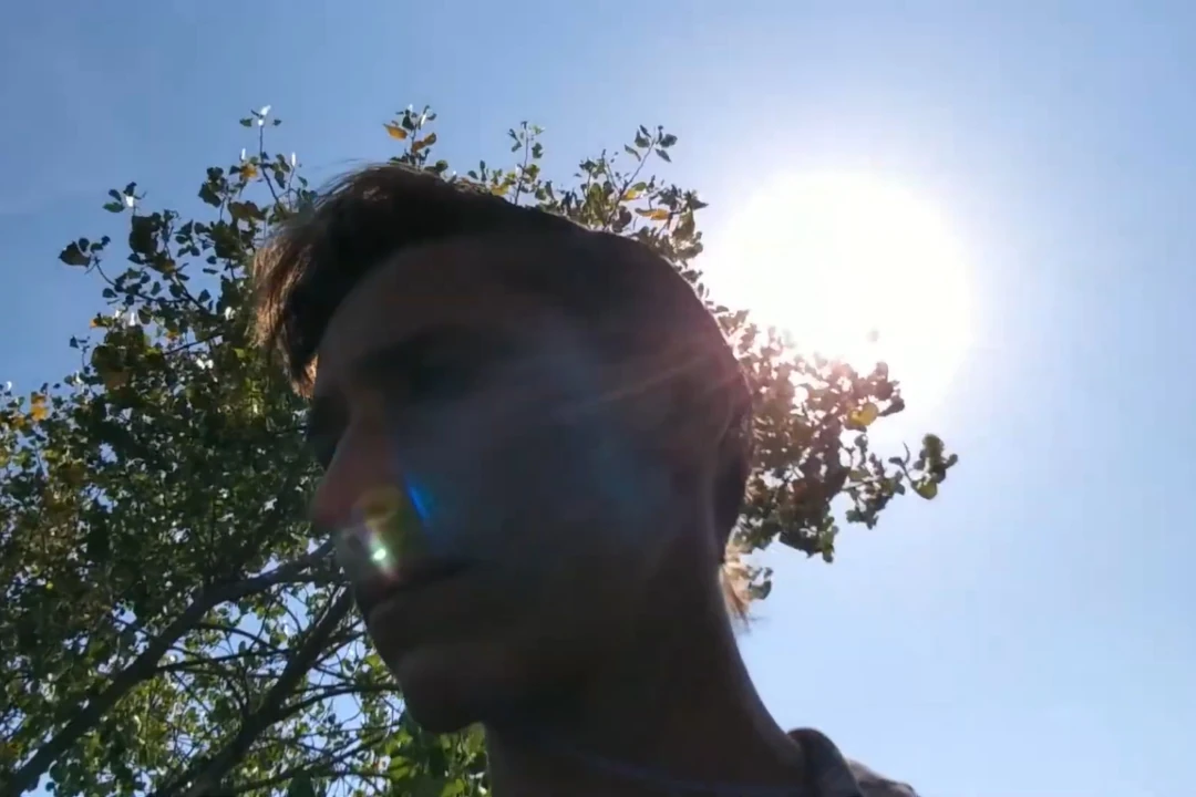 Sunny (Character) | Stephen M. Green Wiki | Fandom