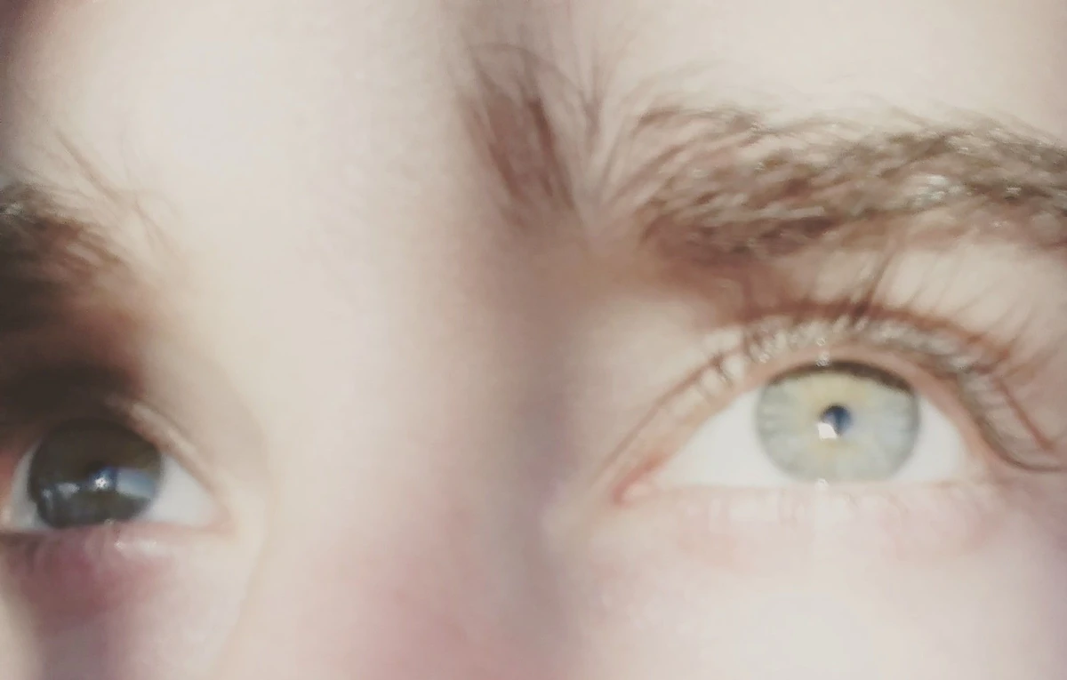 Stephen M. Green 2020 Images (Gallery) | Stephen M. Green Wiki | Fandom