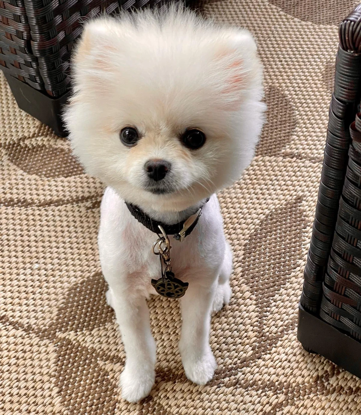 Yuna | Stephen Wiki | Fandom