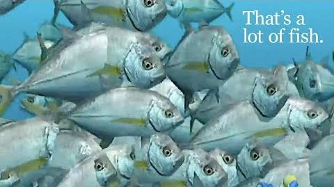 Swarmed By Fish | Stephen Wiki | Fandom