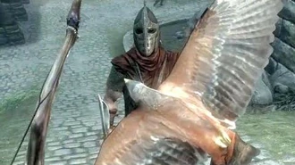 Dead Hawk | Stephen Wiki | Fandom