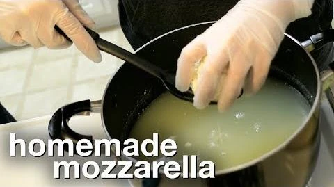 Making MORE Cheese (Day 3275 - 11/12/18) | Stephen Wiki | Fandom