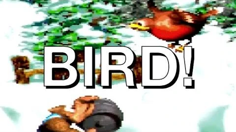 BIRD! | Stephen Wiki | Fandom