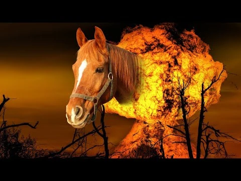 Invincible Horse | Stephen Wiki | Fandom