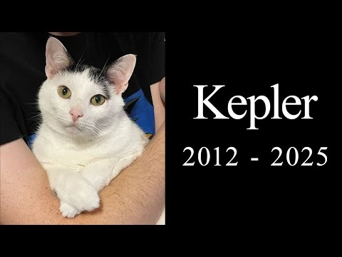 Kepler - (3/11/25) | Stephen Wiki | Fandom