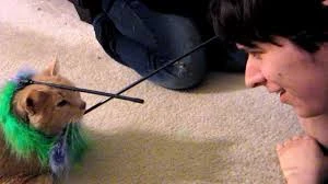 Teddy | Stephen Wiki | Fandom