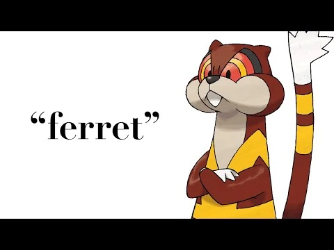 Ferret | Stephen Wiki | Fandom