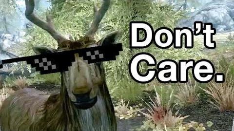 Too Cool To Care | Stephen Wiki | Fandom