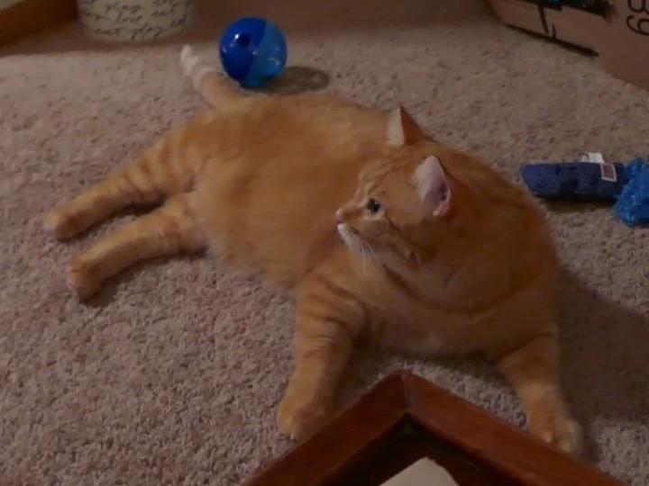 Ted | Stephen Wiki | Fandom