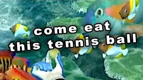 Feeding a Fish | Stephen Wiki | Fandom