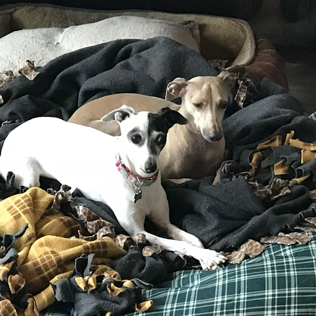 Luna/Gallery | Stephen Wiki | Fandom