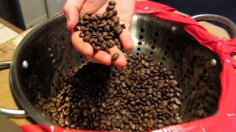 Next-Level Coffee (Day 1711 - 8/1/14) | Stephen Wiki | Fandom