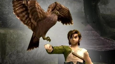 Hawk VS Monkey | Stephen Wiki | Fandom