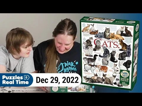🧩 "Beware of People Who Dislike CATS" - Part 2 - Puzzles in Real Time ...