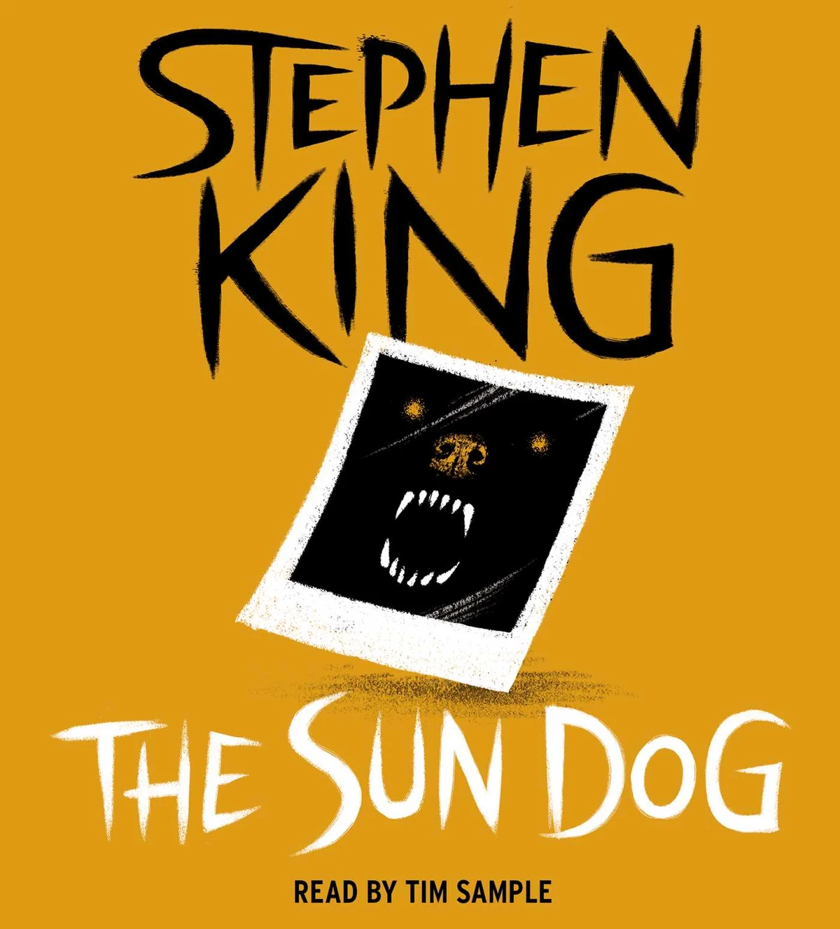 The Sun Dog | Stephen King Wiki | Fandom