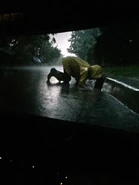 Georgie Denbrough | Stephen King Wiki | Fandom