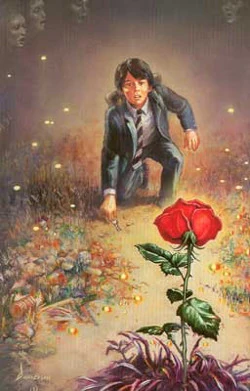 The Rose | Stephen King Wiki | Fandom