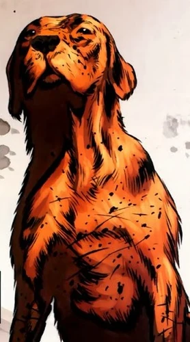 Kojak | Stephen King Wiki | Fandom