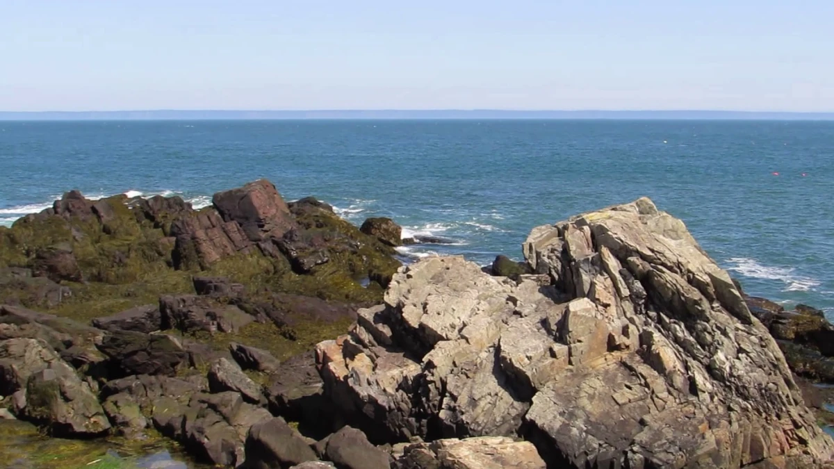 Moose Cove | Stephen King Wiki | Fandom