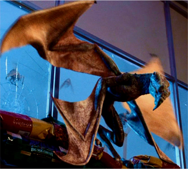 The Mist Flying Creatures