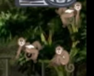 Monkey | Steppenwolf Wiki | Fandom