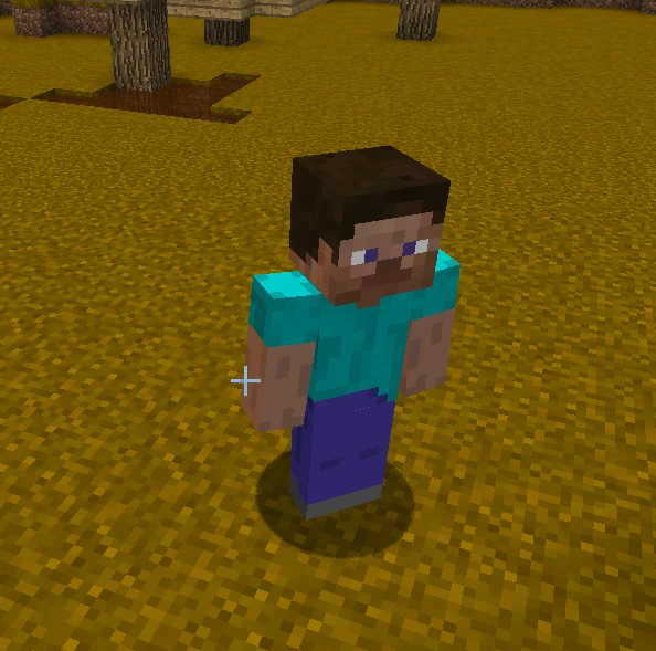 Steve | Steve World Wiki | Fandom