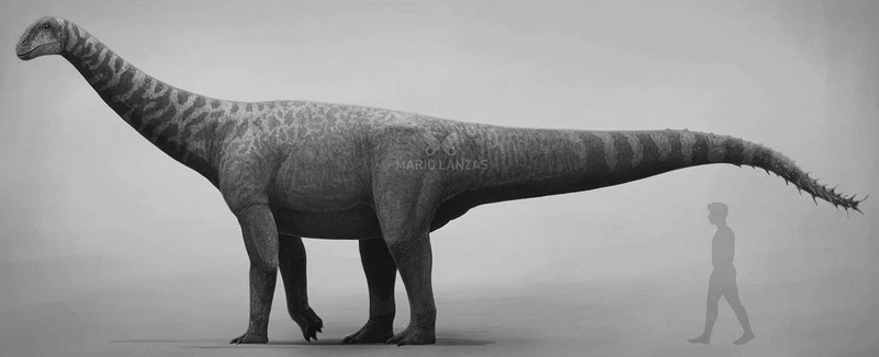 Kotasaurus | Steve Cole Books Wiki | Fandom