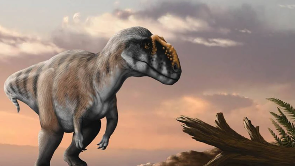 Metriacanthosaurus | Steve Cole Books Wiki | Fandom