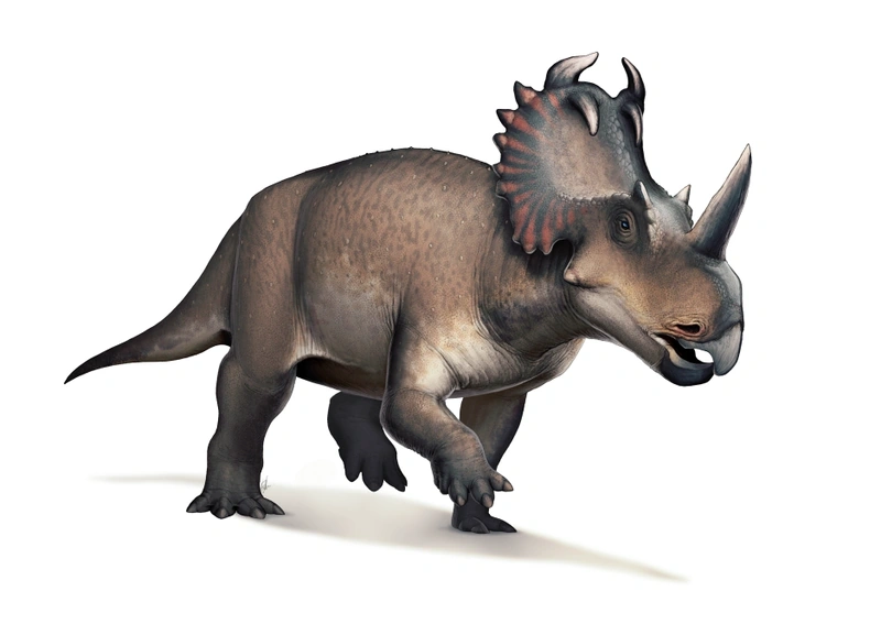Centrosaurus | Steve Cole Books Wiki | Fandom