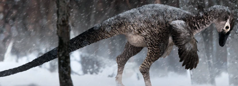 Stenonychosaurus | Steve Cole Books Wiki | Fandom