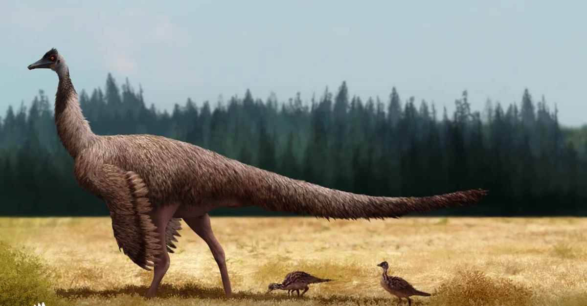 Ornithomimus | Steve Cole Books Wiki | Fandom