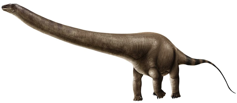 Barosaurus | Steve Cole Books Wiki | Fandom