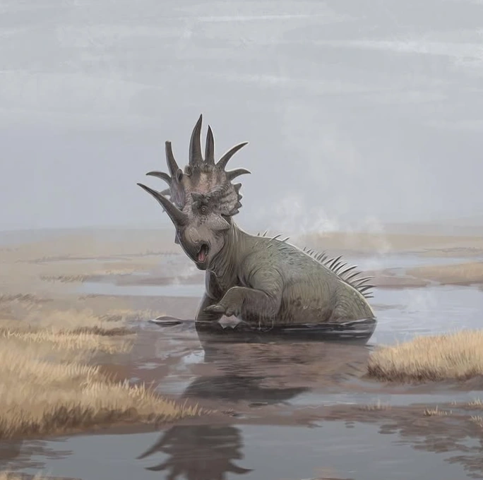 Styracosaurus | Steve Cole Books Wiki | Fandom