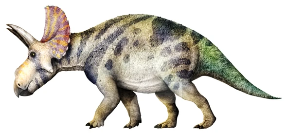 Nedoceratops | Steve Cole Books Wiki | Fandom