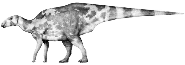 Bactrosaurus | Steve Cole Books Wiki | Fandom