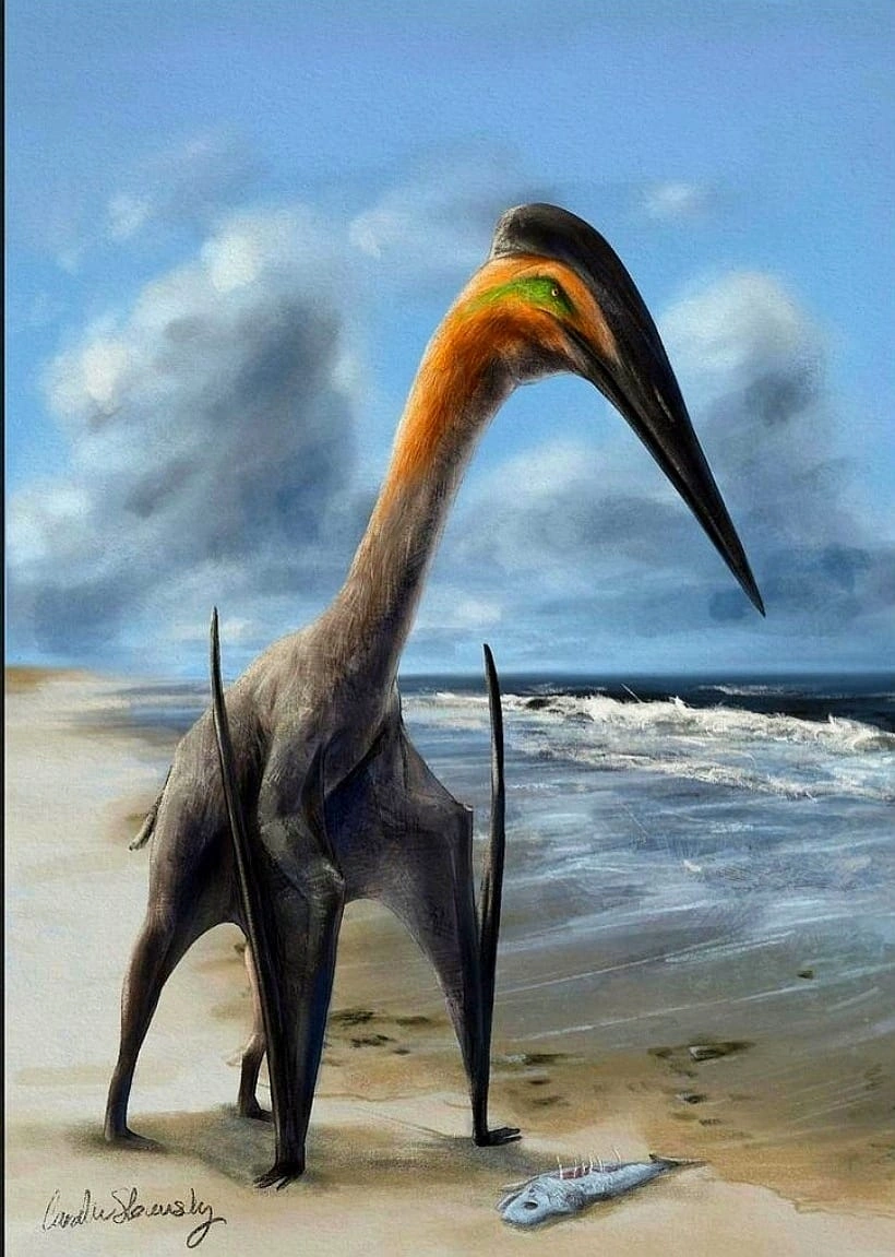 Phosphatodraco | Steve Cole Books Wiki | Fandom