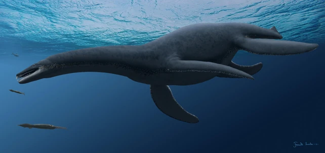 Cryptoclidus | Steve Cole Books Wiki | Fandom