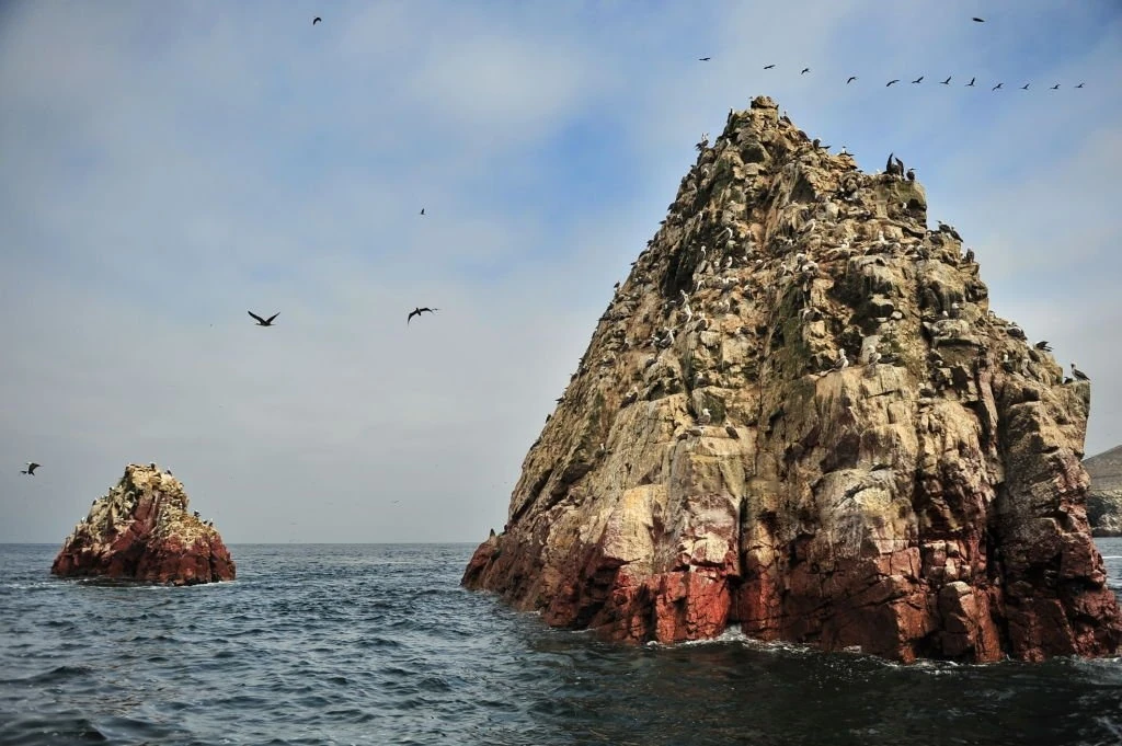 Gull Rock | Stevednd Wiki | Fandom